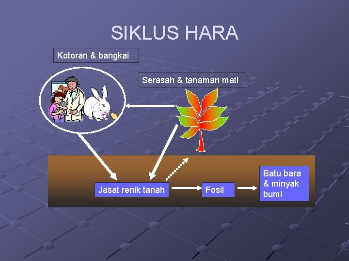 SIKLUS HARA Kotoran bangkai Serasah tanaman mati Jasat