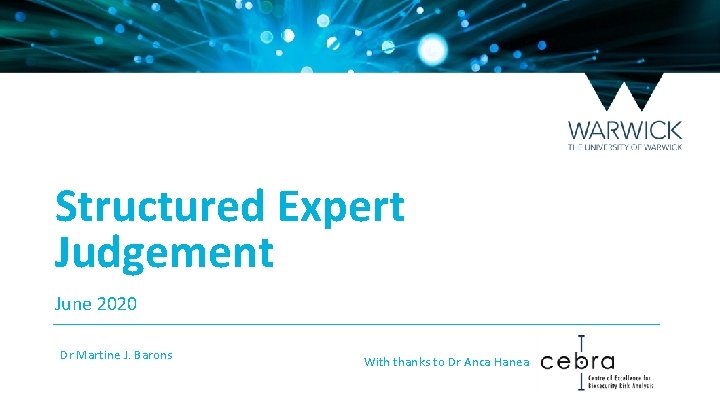 Structured Expert Judgement June 2020 Dr Martine J