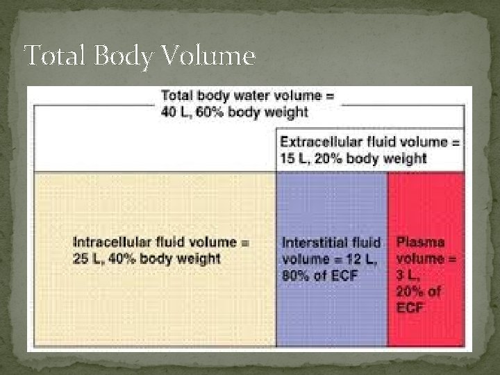 Human Physiology Introduction by Talib F Abbas Introduction