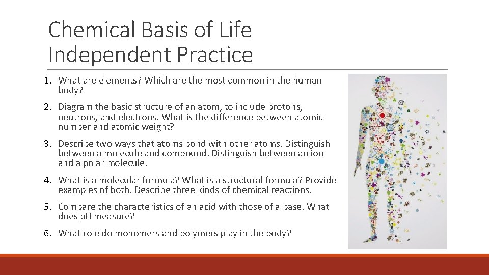 Chemical Basis of Life Introduction What does the