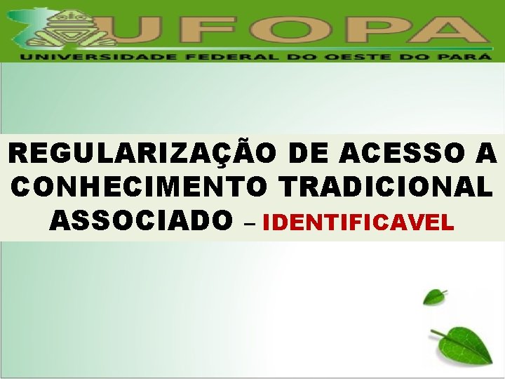 REGULARIZAO DE ACESSO A CONHECIMENTO TRADICIONAL ASSOCIADO IDENTIFICAVEL