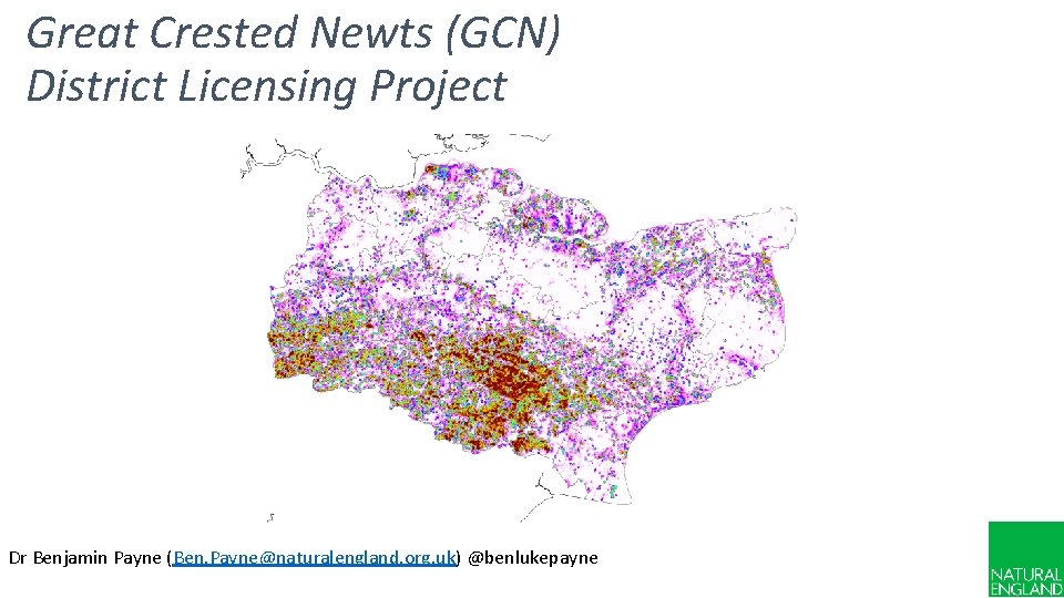 Great Crested Newts GCN District Licensing Project Dr