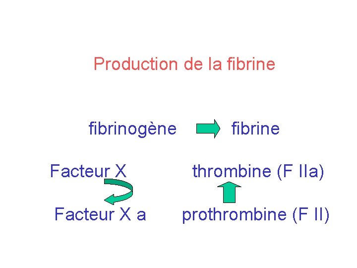 Thromboses veineuses et embolies pulmonaires maladie thromboembolique ...