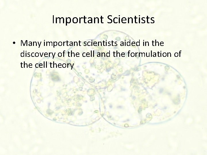 The Cell Theory Important Scientists Many important scientists