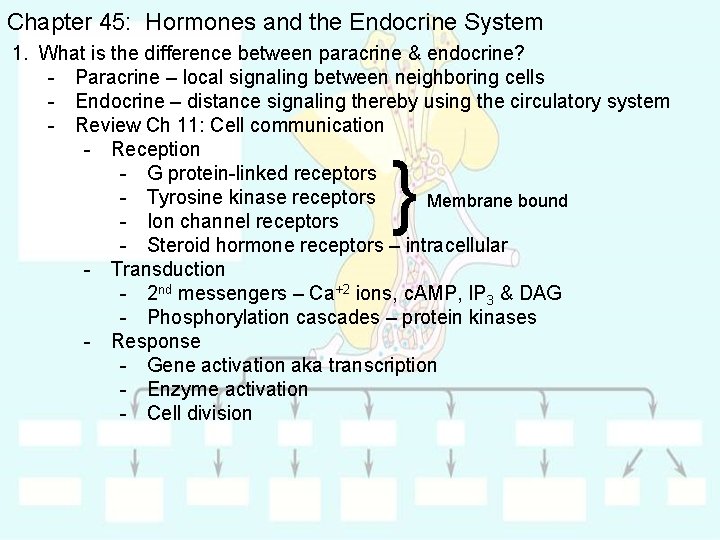 Chapter 45 Hormones and the Endocrine System 1