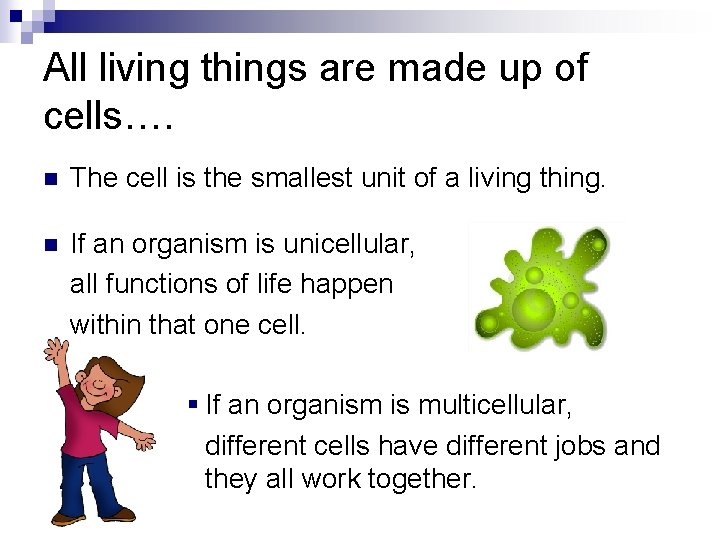 Cell Theory Section A 1 1 The cell