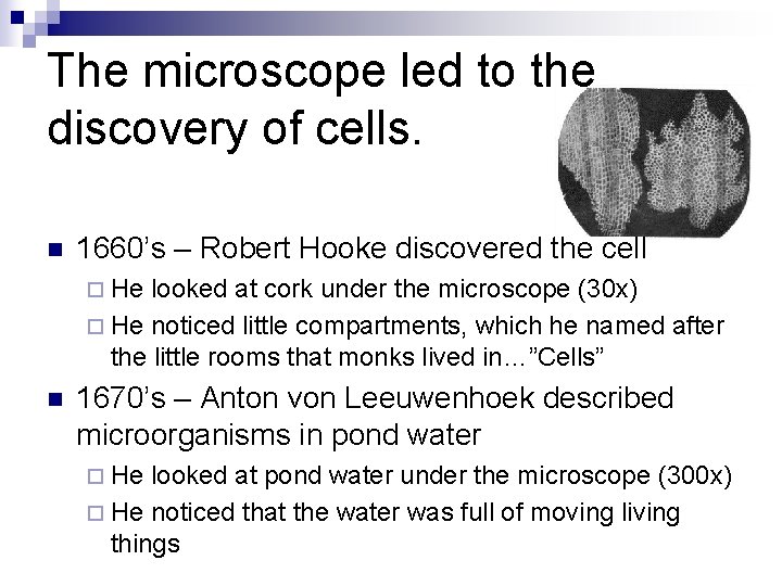 Cell Theory Section A 1 1 The cell