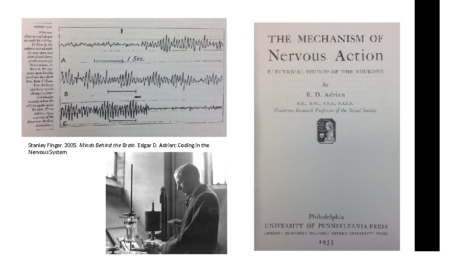 HISTORY OF NEUROLOGY BRITISH NEUROPHYSIOLOGY 100 YEARS OF