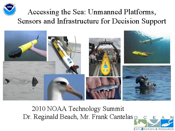 Accessing the Sea Unmanned Platforms Sensors and Infrastructure