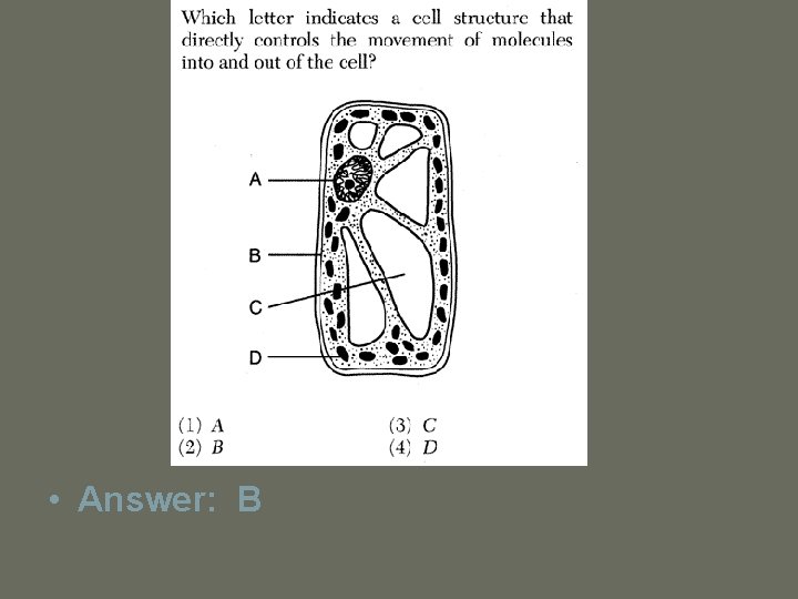 Cells CDT Questions Which level of organization best