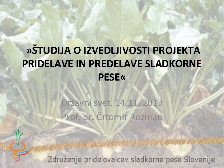 TUDIJA O IZVEDLJIVOSTI PROJEKTA PRIDELAVE IN PREDELAVE SLADKORNE