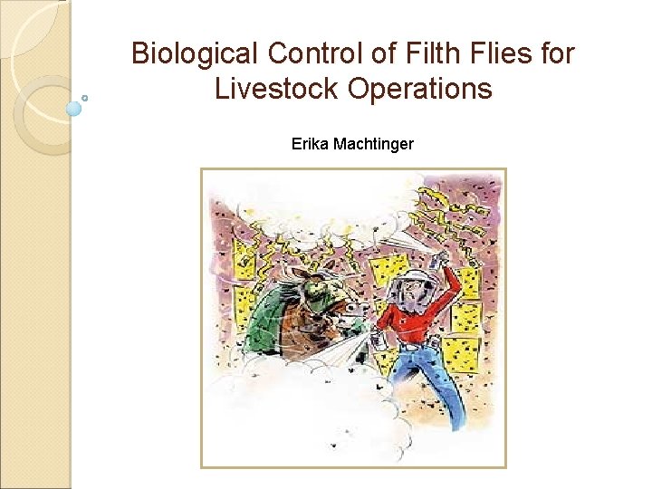 Biological Control of Filth Flies for Livestock Operations