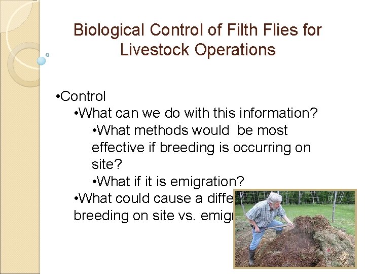 Biological Control of Filth Flies for Livestock Operations