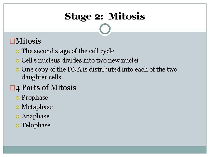 Cell Division CHAPTER 3 SECTION 5 Cell Cycle