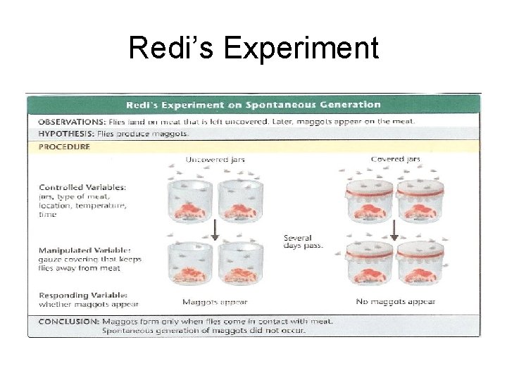 SCIENCE The intellectual process using all available mental