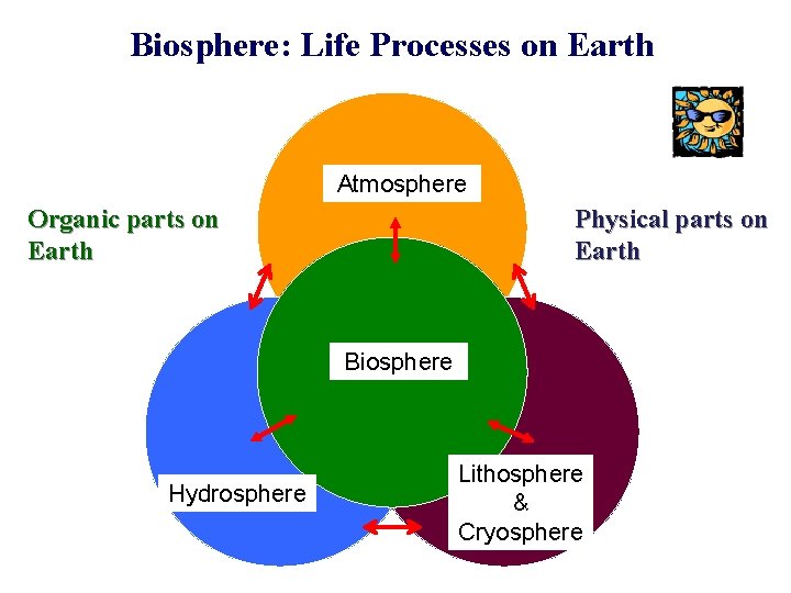 Lecture 11 Earths Biosphere Earths ClimateWebChapter pdf p