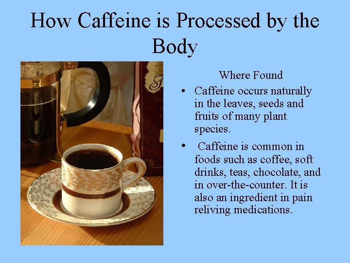 How Caffeine is Processed by the Body Where