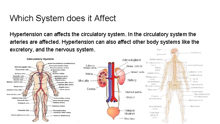Hypertension By Nature Instructions Describe the disorder or