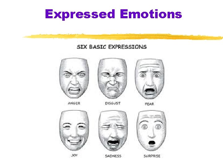 Emotion Emotion Arousal Behavior and Cognition z Theories