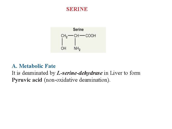 Metabolism of other amino acids GLYCINE Glycine is