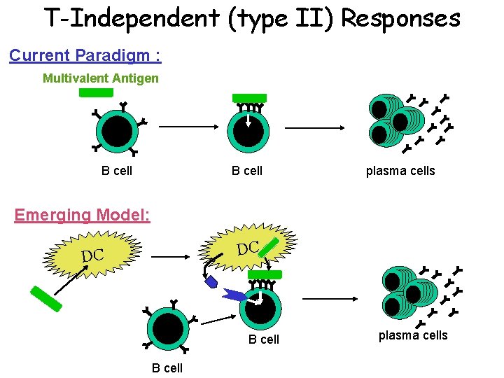 Lecture Outline 1 What is meant by B