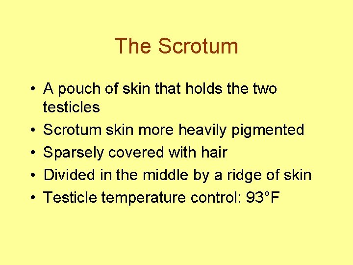 Chapter Four Male Sexual Anatomy Physiology and Response