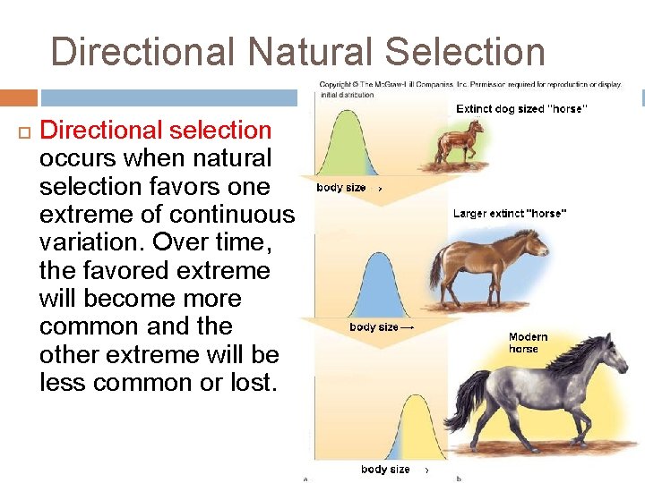 How Evolution Works Can Individuals evolve No Within