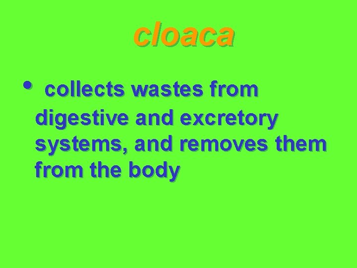 Structures and Functions brain consists of five major