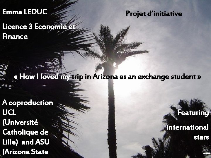 Emma LEDUC Projet dinitiative Licence 3 Economie et