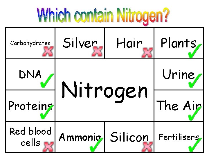 The Nitrogen Cycle Objectives To understand the nitrogen
