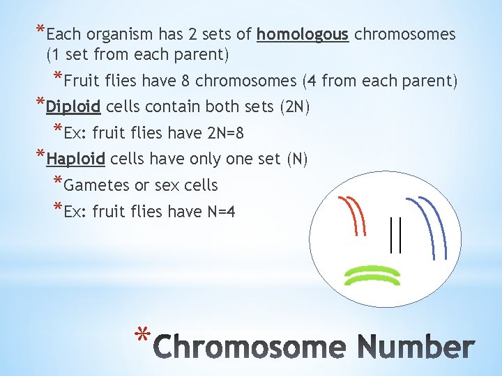 Like Mitosis but half as good Interactive Use