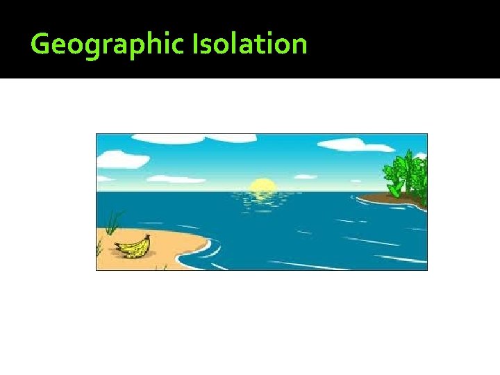 Catalyst September 13 th 2013 10 minutes Natural