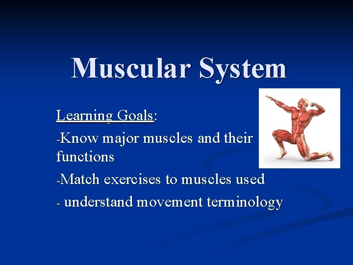 Muscular System Learning Goals Know major muscles and