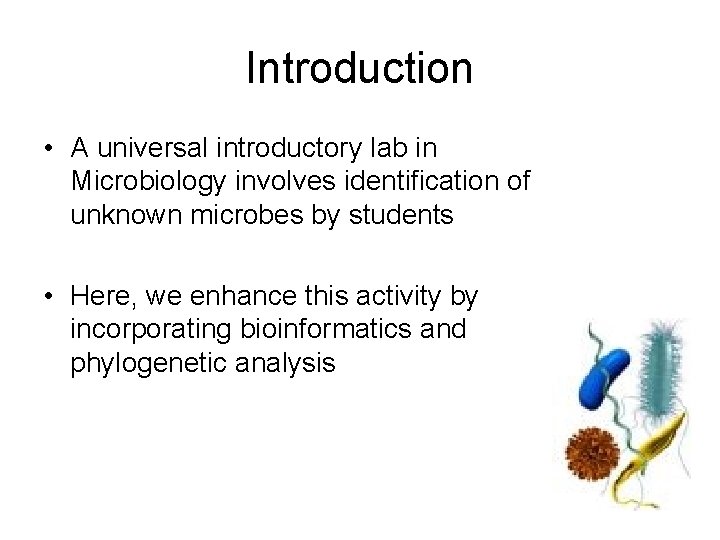 Exploring Phylogeny in the Introductory Microbiology Lab Mohammed
