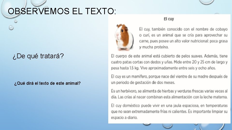 Comunicacin Leemos fichas informativas sobre los animales OBSERVA