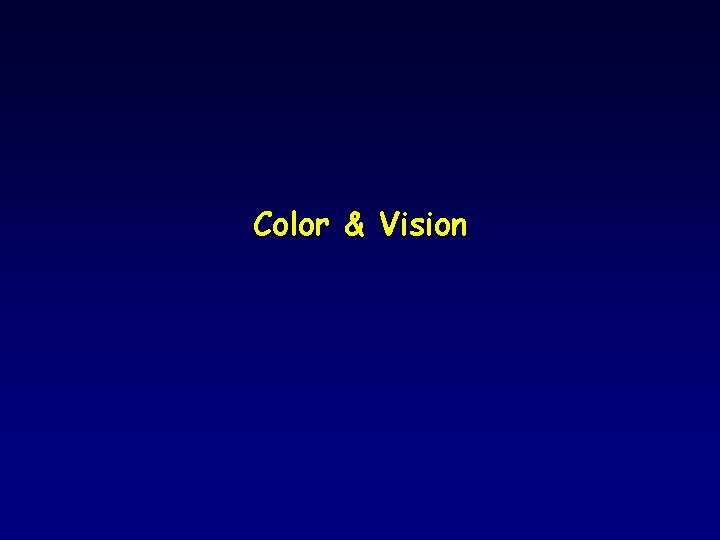 Color Vision Parts of the Eye Cone Response