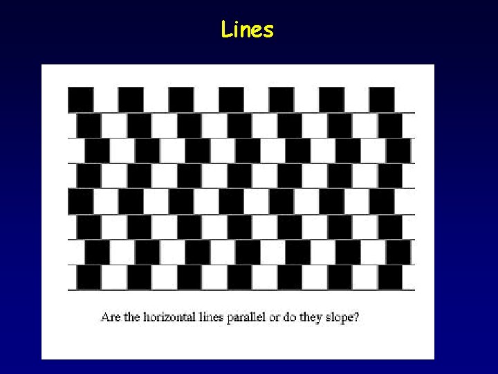 Color Vision Parts of the Eye Cone Response