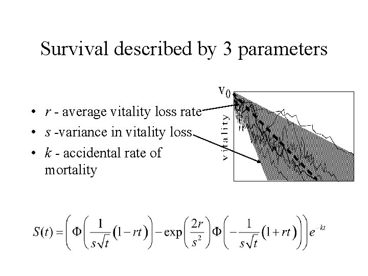 Vitalitybased studies of Delayed Mortality Develop a routine