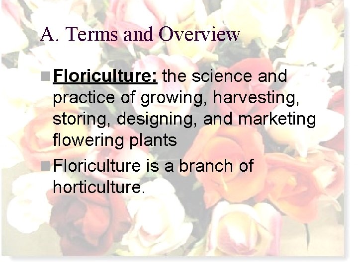 ARKANSAS FRAMEWORKS 1 1 1 4 BECCA WHERRY