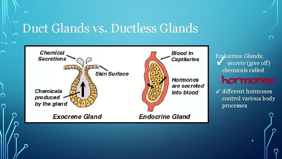 THE ENDOCRINE SYSTEM What ifYou are skateboarding in