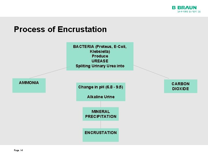 Urinary Catheters Problem Solving William Ryan Nurse Advisor
