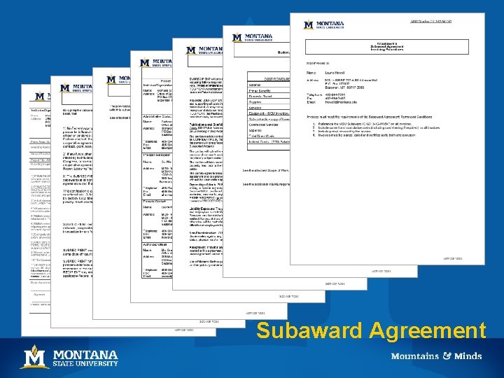 2013 INBRE Project Subaward Management Barbara Bunge MSU