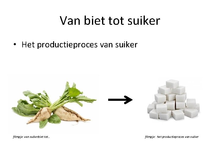 Het productieproces van suiker Het belang van suikers