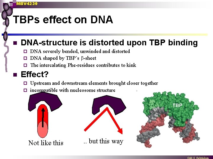 GTFs and PIC assembly TF TBP TATA Promoter