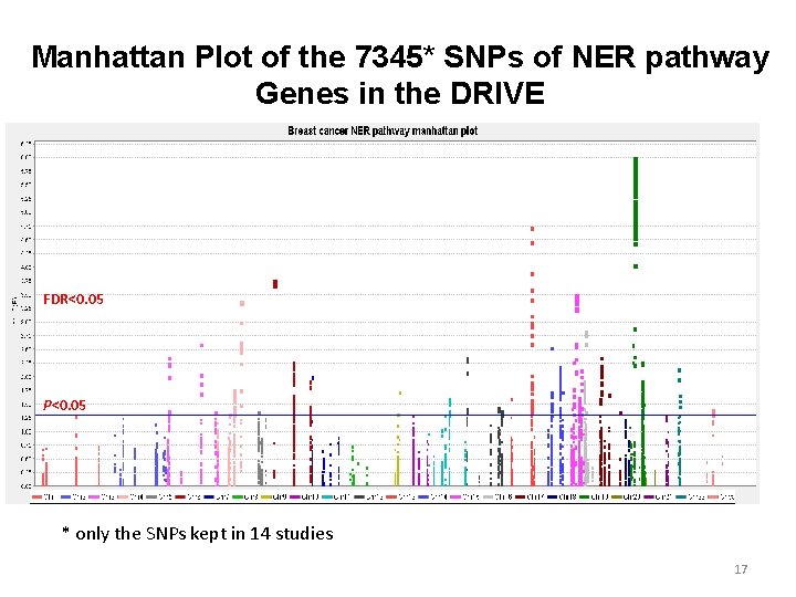 Genetic variants of genes in the NER pathway
