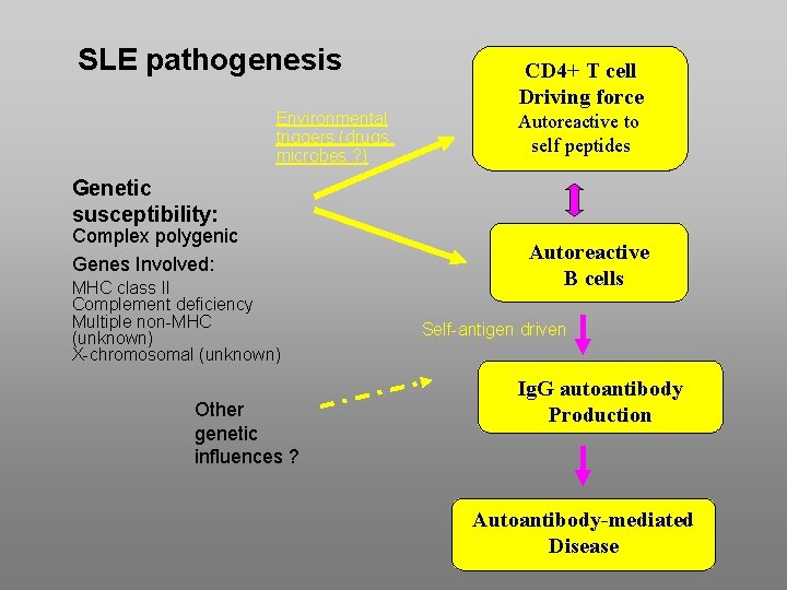 Mechanisms of unresponsiveness Peripheral tolerance in B cells