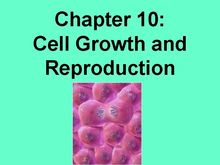 Chapter 10 Cell Growth and Reproduction Cells are