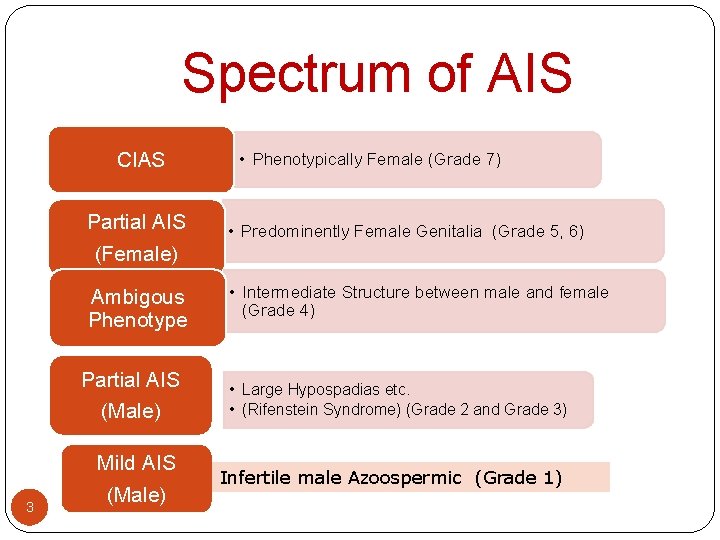 Patient no 3 A 26 years old male