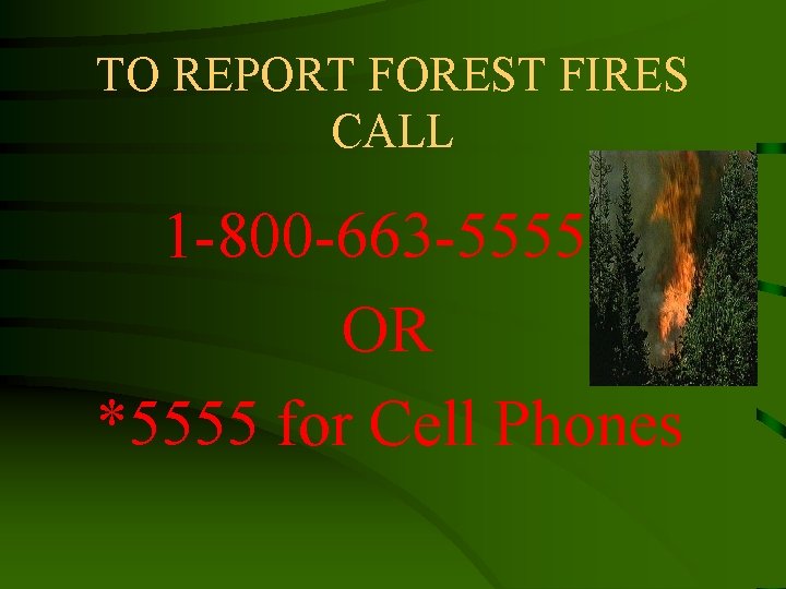 Public Reporting The Provincial Forest Fire Reporting Centre