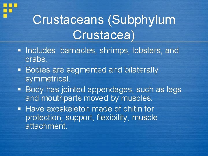 Arthropods Phylum Arthropoda Make up largest phylum of